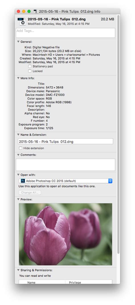 What Is EXIF Data In Digital Photography Mastering Photography