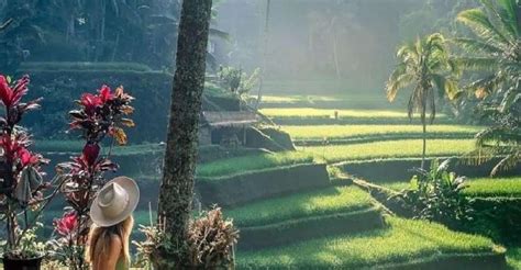 Bali Private Customized Full Day Tour Travel Buddies