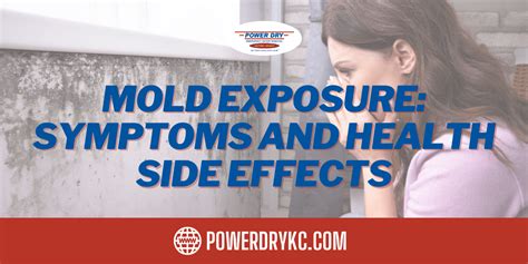 Black Mold Exposure Symptoms Mold Exposure And Toxicity Symptoms