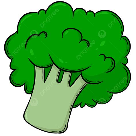 Beautiful Broccoli Clipart Png Vector Psd And Clipart With