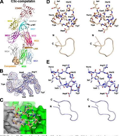 Table 1 From Structure Of Compstatin In Complex With Complement