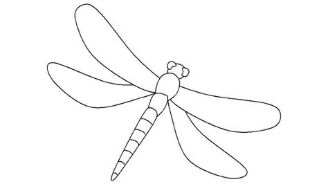 Dibujo De Libélula Para Colorear Y Pintar 5866