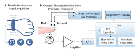 Figure System Setup The Data Collection And Analysis Of Wrist Wearable Download Scientific