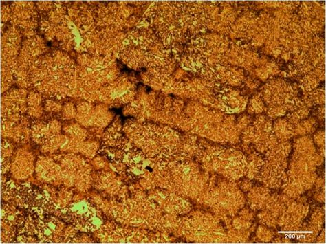 a as cast microstructure showing segregation revealing the dendritic
