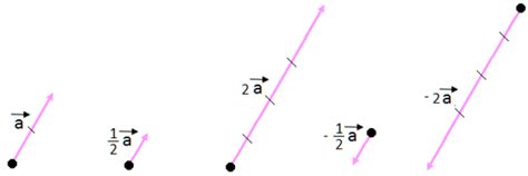Multiplication Of A Vector By A Scalar MyRank