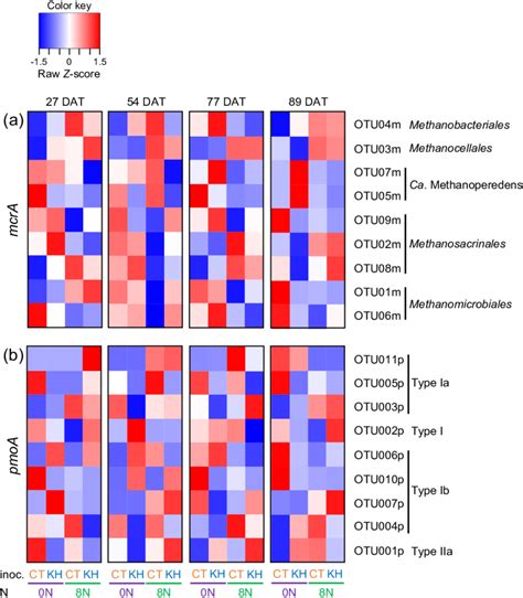 Heatmap Based On Z Scores Of The Relative Abundance Of Major Otus Of