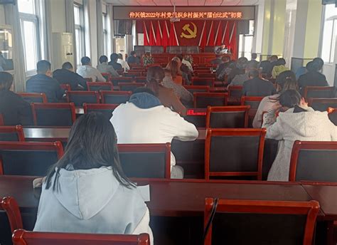 仲兴镇开展村居党组织乡村振兴擂台比武初赛 工作 汇报 方面