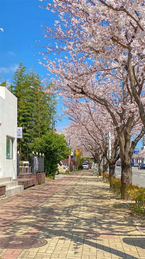 Korea Artofit