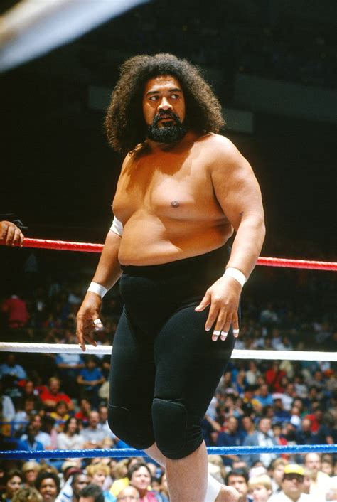 Wwe Hall Of Famer Sika Anoai Of The Wild Samoans And Father Of Roman