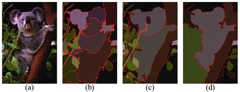 Illustration Of Region And Contour Based Approaches A Input Image