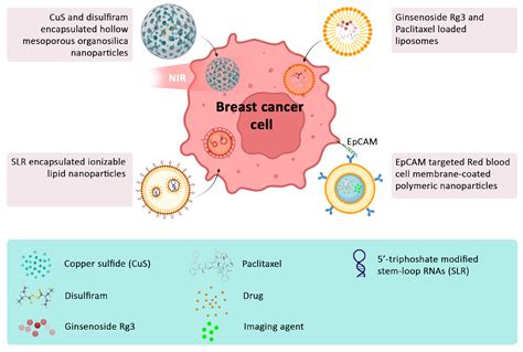 Emerging Applications Of Nanoparticles In The Diagnosis And Treatment Of Breast Cancer
