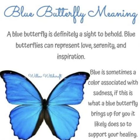 Significance Of Blue Butterfly