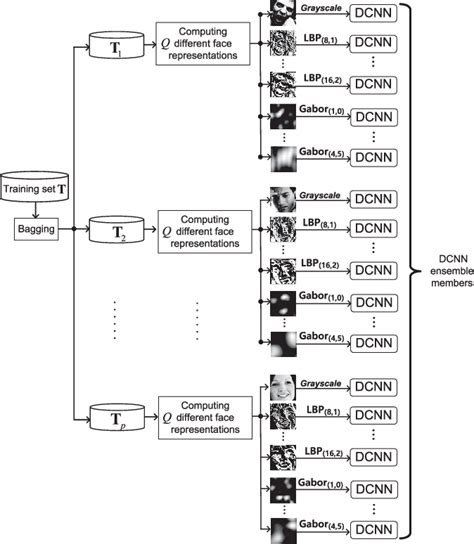 Figure 1 From Combining Deep Convolutional Neural Networks With Stochastic Ensemble Weight