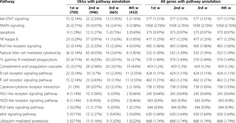 Pathway Of Rna Seq Involved In Immunity And Inflammation Responses Download Table