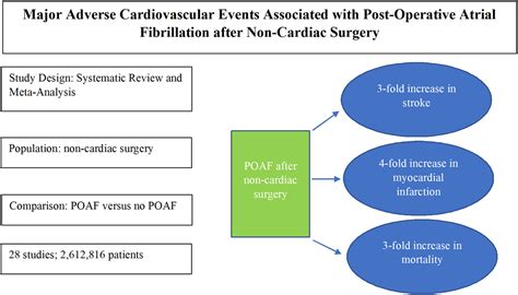 Comprehensive Meta Analysis Serial Medicalasilq