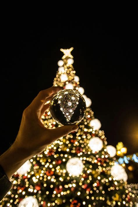 Украшаем фасад как повесить гирлянду на дом самостоятельно Mydecor