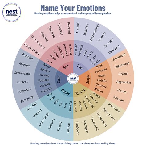 Naming Emotions Why Words Matter For Emotional Regulation 😡