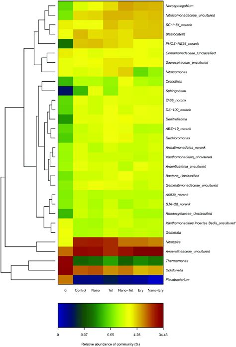 Bacterial Community Heatmap Analysis Of All Samples At Genus Level Top Download Scientific