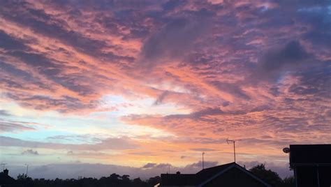 Pathways To Wellbeing With Dr Bryan Mcelroy Home