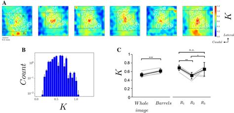 couplings reconstructed from experimental vsd imaging data a the