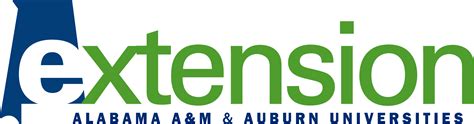 Bermudagrass In Alabama Alabama Cooperative Extension System