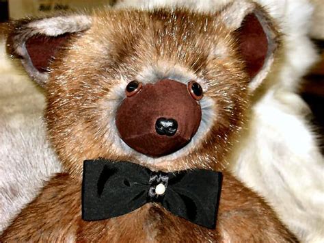 Scp 1048 Scp Wikia Fandom