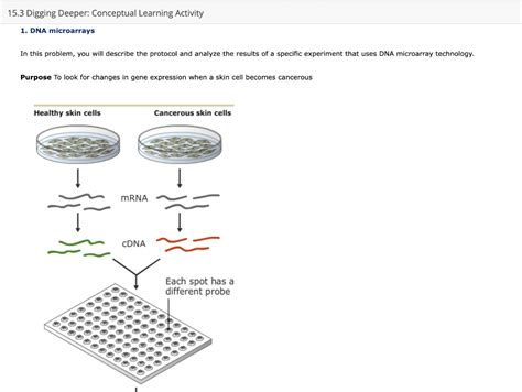 Solved 1 Dna Microarrays In This Problem You Will Describe