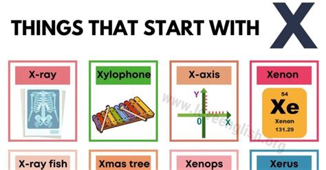 33 Examples Of Things That Start With N Love English