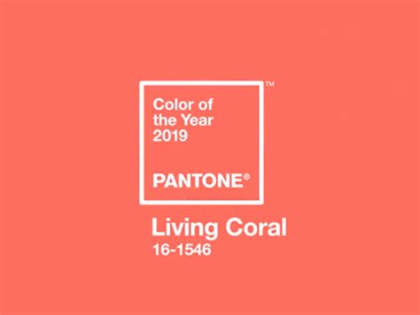 2019 올해의 컬러 리빙 코랄 Living Coral 팬톤 Panton선정 네이버 블로그