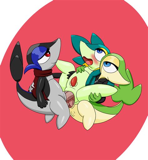 Rule 34 Absurd Res Anal Anal Sex Animal Genitalia Animal Penis Anus