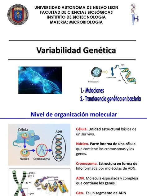 1 Variabilidad Genetica Pdf Mutación Plásmido