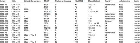 Clinical Escherichia Coli Isolates Analysed In This Work Download Scientific Diagram