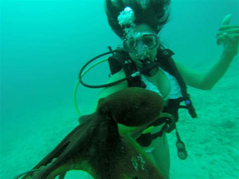 Pin By John Waldrip Iii On Scuba Diver Girls Scuba Diving Hawaii