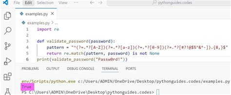 How To Validate Passwords In Python