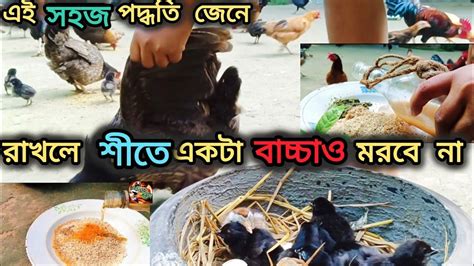 মুরগির বাচ্চা একটাও মরবে না ২০২৪। মুরগির বাচ্চা সুস্থ রাখার সহজ ও প্রাকৃতিক উপায়। Youtube