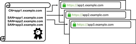 Multi Domain Certificate Option For Sap Custom Dom Sap Community Multi Domain Certificate Option For Sap Custom Dom Sap Community