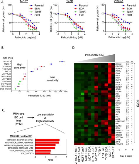 Figure 1 From Activation Of The Interferon Signaling Pathway Is Associated With Resistance To