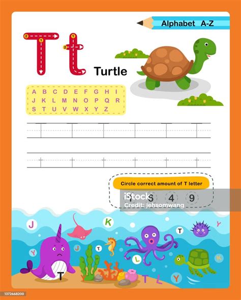 알파벳 문자 T 만화 어휘 일러스트 벡터와 거북이 운동 거북이에 대한 스톡 벡터 아트 및 기타 이미지 거북이 교육 귀여운 Istock