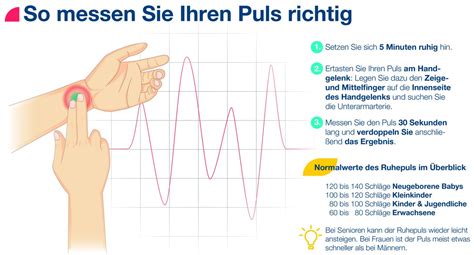 Warum Ist Der Puls So Hoch Education Suisse