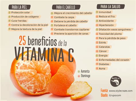 La Vitamina C Es Muy Importante Para Los Seres Humanos Ya Que Es