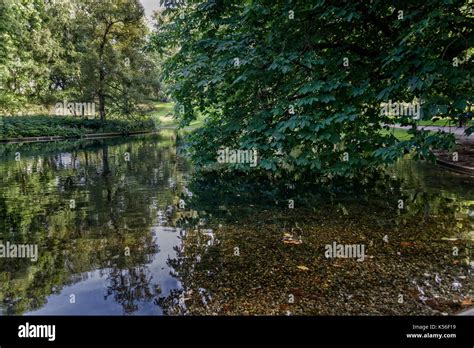 Reflection Of Trees In A Park Pond Stock Photo Alamy