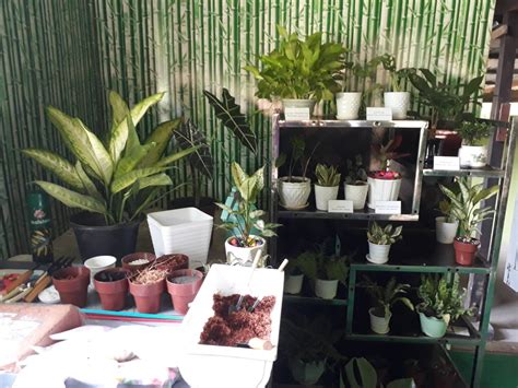 မုံရွာခရိုင်နှင့် မြို့နယ်ဦးစီးမှူးရုံးများရှိ ဝန်ထမ်းအိမ်ယာအတွင်း ဆောင်ရွက်ထားသော တောင်သူနည