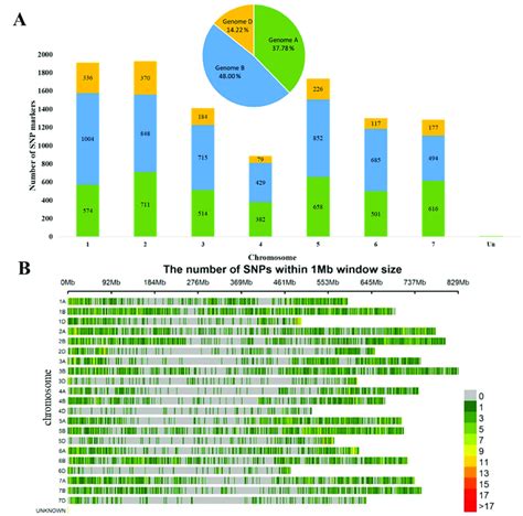 Distribution Of 10481 Single Nucleotide Polymorphism Snp Markers