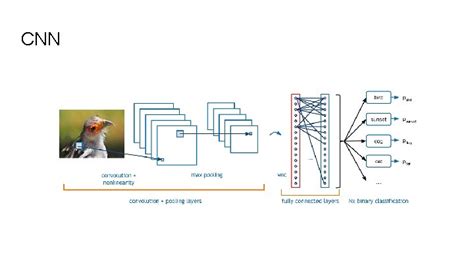 Basics For Convolutional Neural Network CSE Beibin