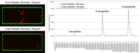 Pepperprint Epitope Mapping With Pepperchip® Peptide Microarrays