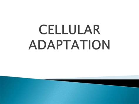 13 Cellular Adaptation How Cell Adapt Pptx Pregnancy