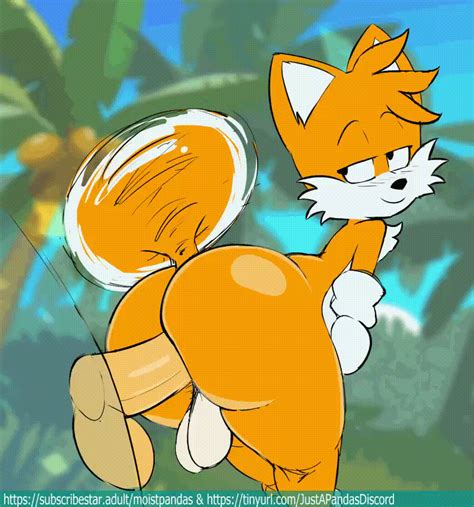 Post 4437211 Animated Kingofacesx Sonicthehedgehogseries Tails