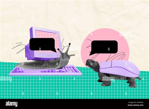 Creative Picture Collage Turtle Mouse Shell Textbox Communication Dialog Snail Crawl Pc Screen
