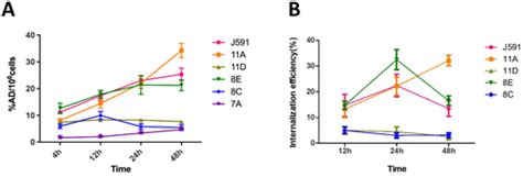 Tumor Targeting Ability Of Novel Anti Prostate Specific Membrane Antigen Antibodies Acs Omega