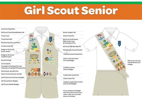 Girl Scout Cadette Senior Ambassador Insignia Tab Navy Casual